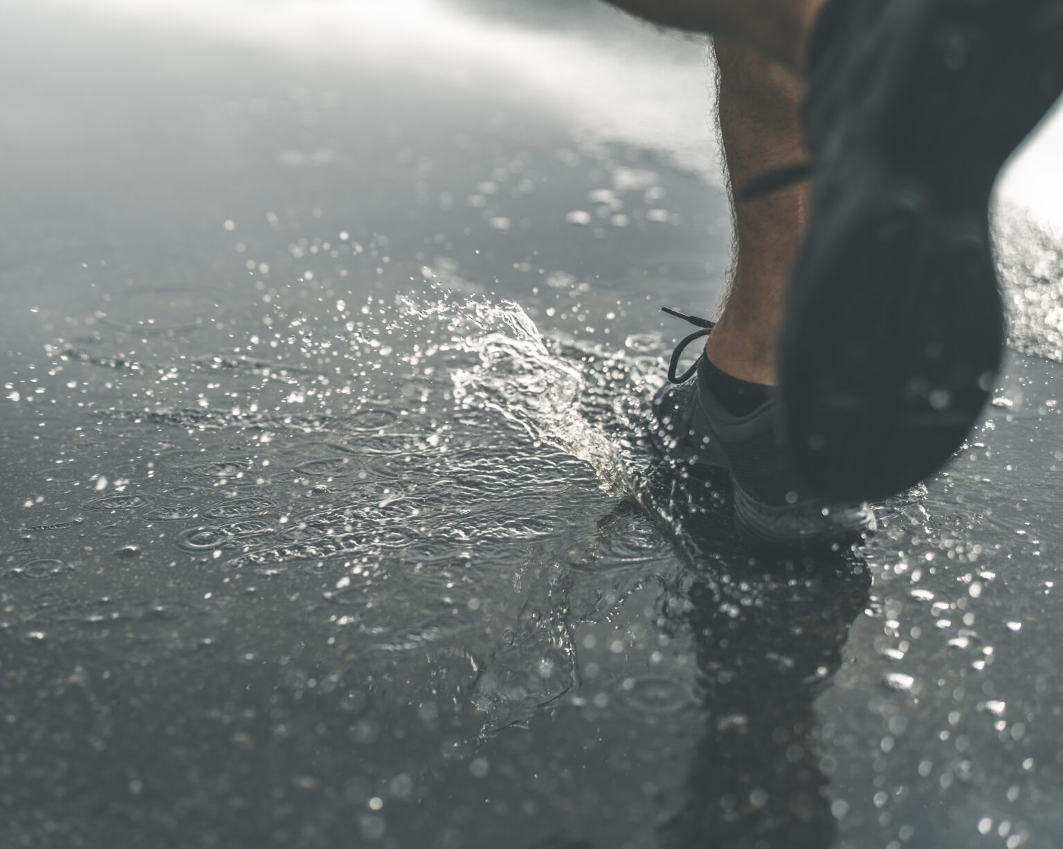 This is Fu-Gen - Fu-Gen