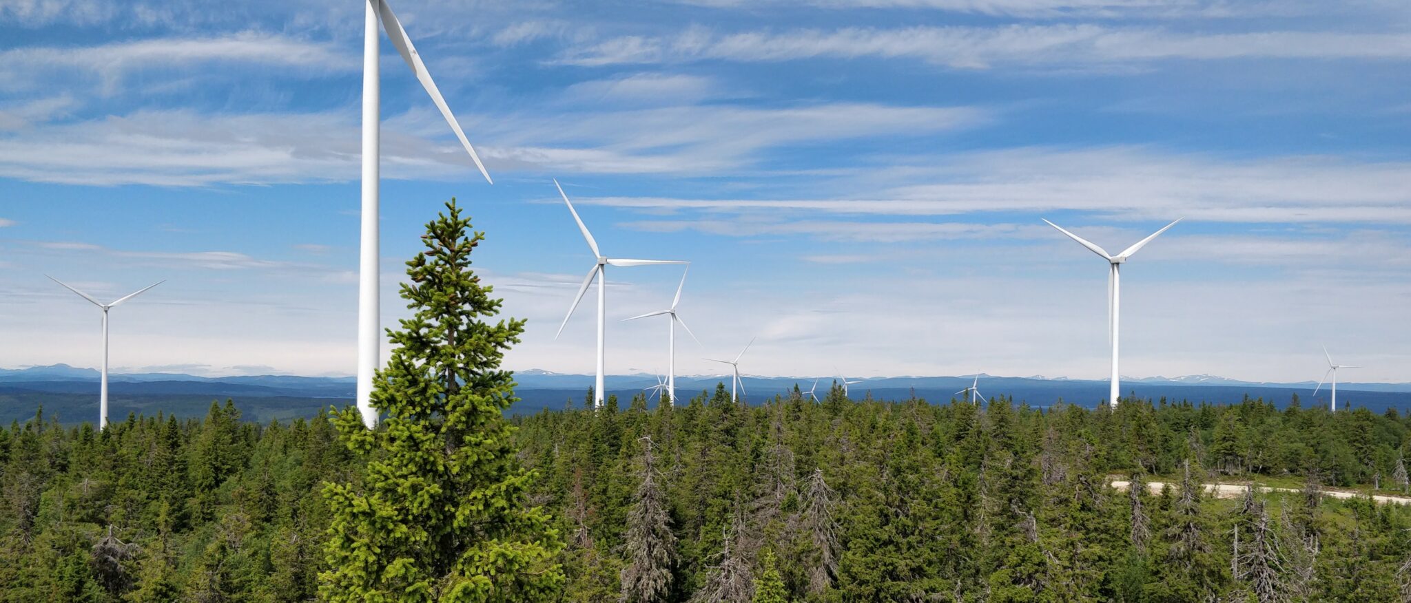 Havsnäs Wind Farm: Powering Northern Sweden