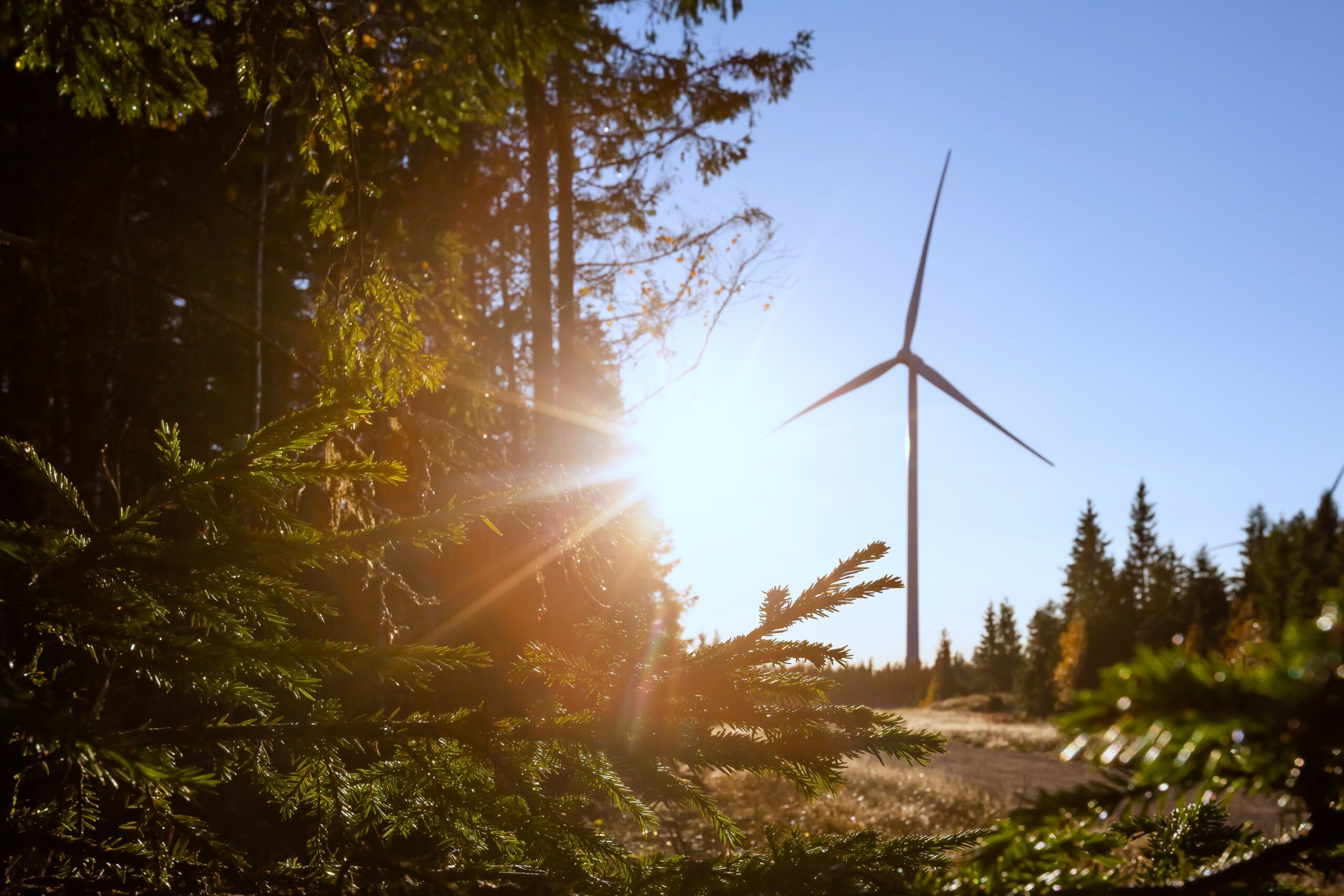 Riberget Wind Farm: Fu-Gen's Venture in Gävleborg, Sweden